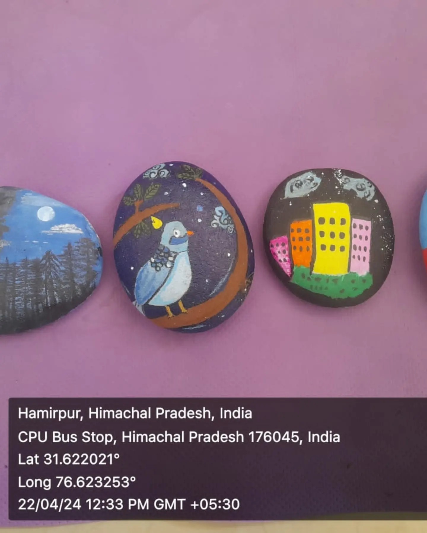 Artistry Unleashed: Stone Painting Competition at CPUH - Career Point ...
